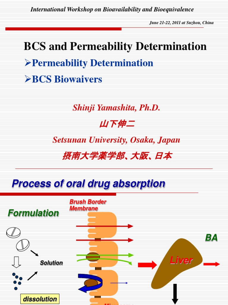 BCS Classification and Permeability Insights | PDF | Bioavailability ...