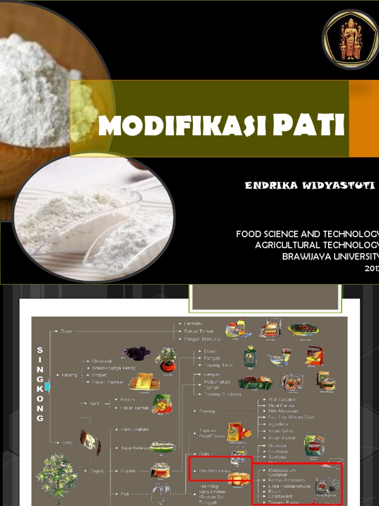 Modifikasi Pati PDF | PDF