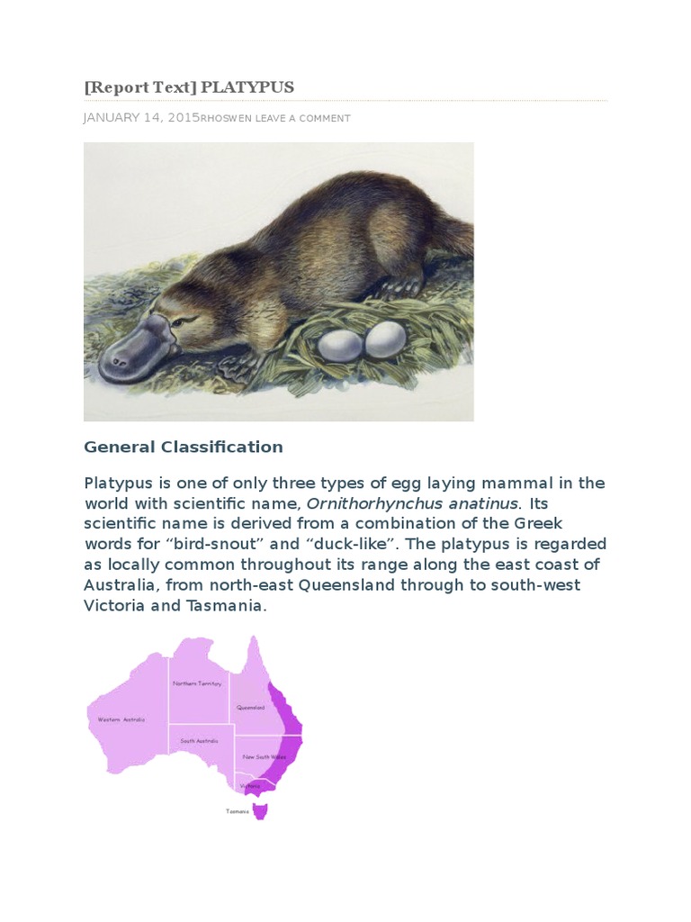 (Report Text) PLATYPUS: General Classification | PDF | Wellness ...