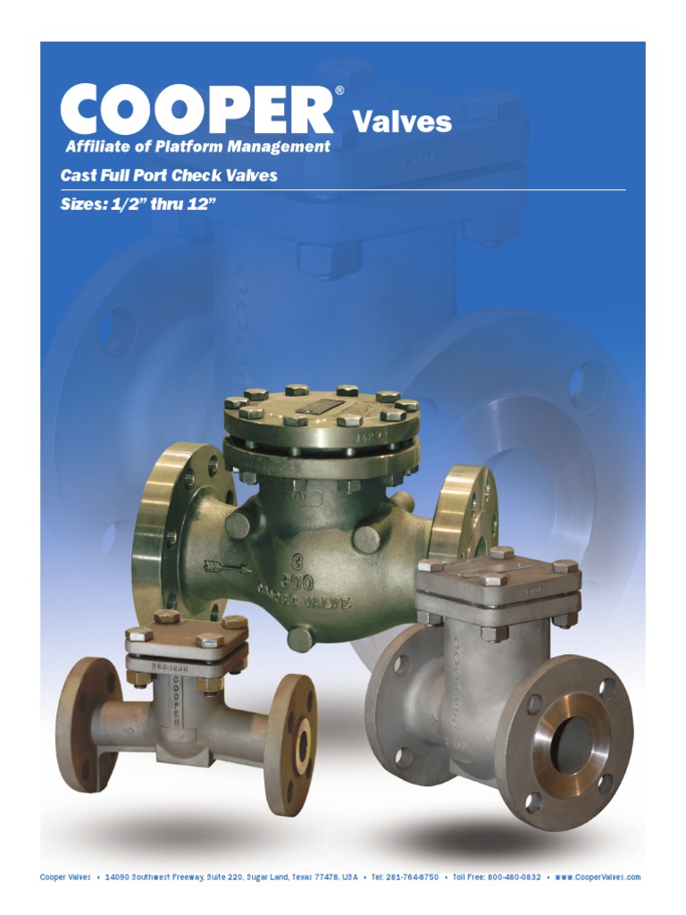COOPER Cast Check Valves | PDF | Pipe (Fluid Conveyance) | Valve