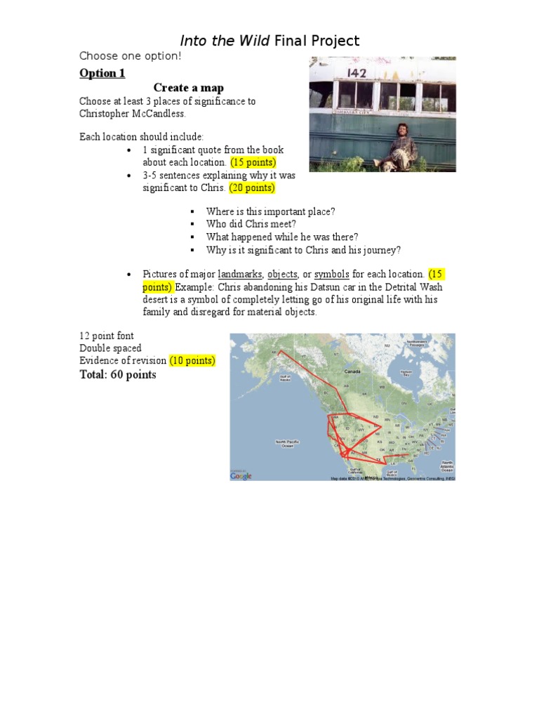 Into The Wild Final Projects | PDF