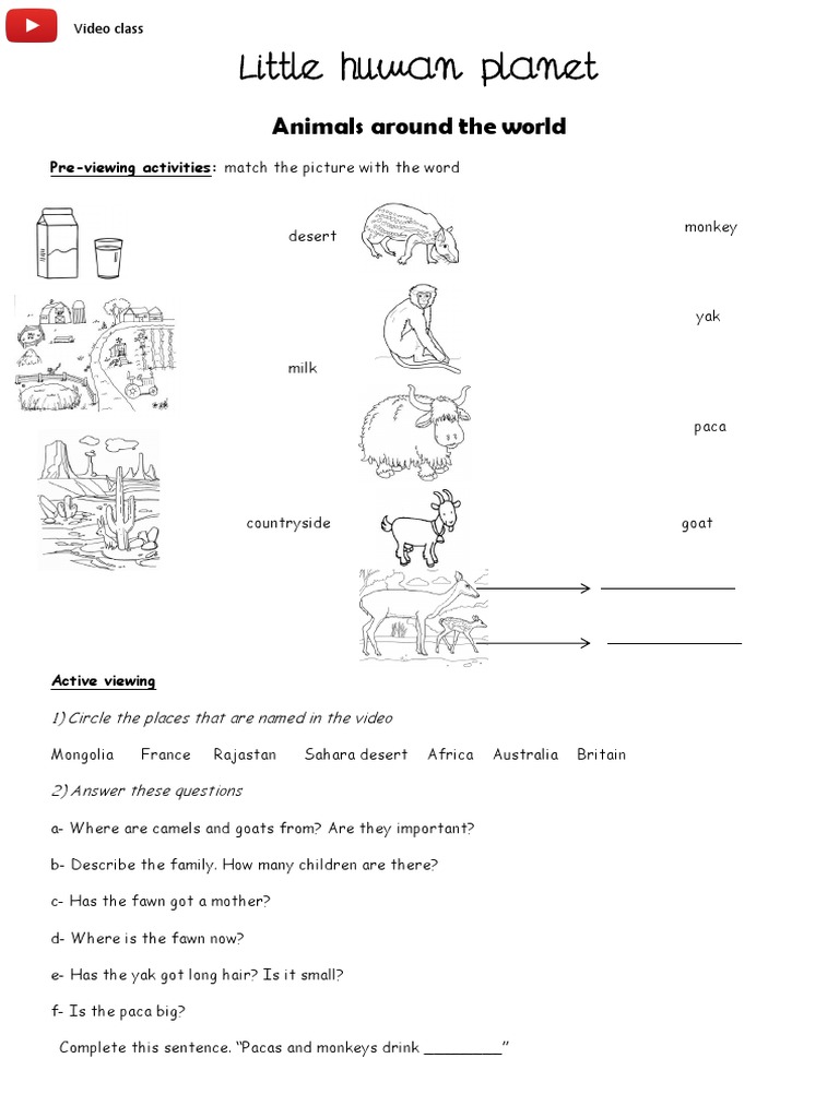Little Human Planet Activities | PDF