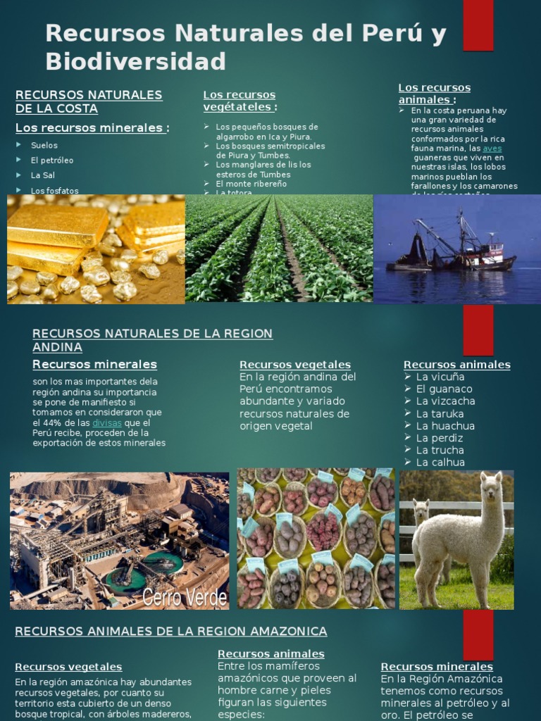 Recursos Naturales Del Perú y Biodiversidad | PDF | Biodiversidad ...