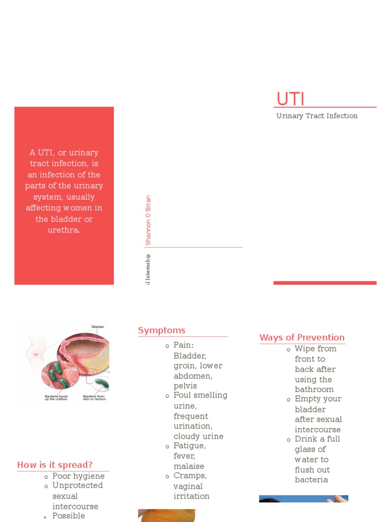 A UTI, or Urinary Tract Infection, Is An Infection of The Parts of The ...