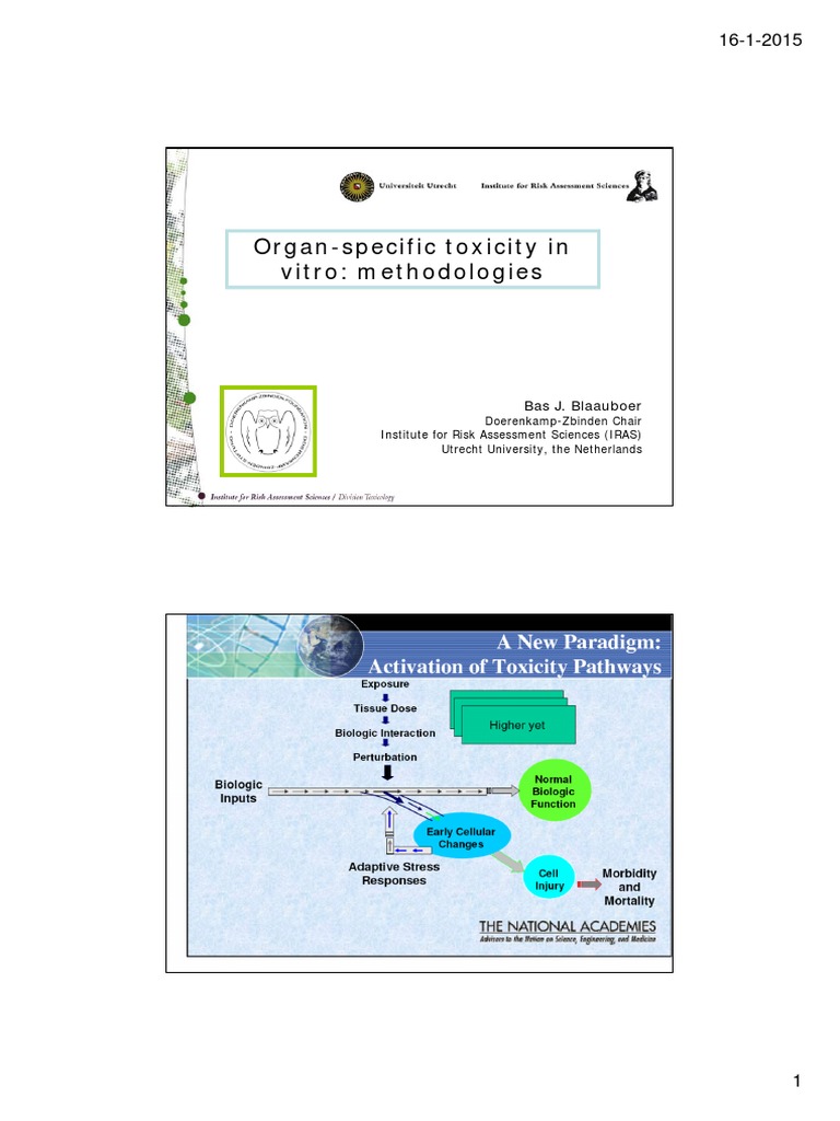 Organ-Specific Toxicity in Vitro - Methodologies | PDF | In Vitro ...