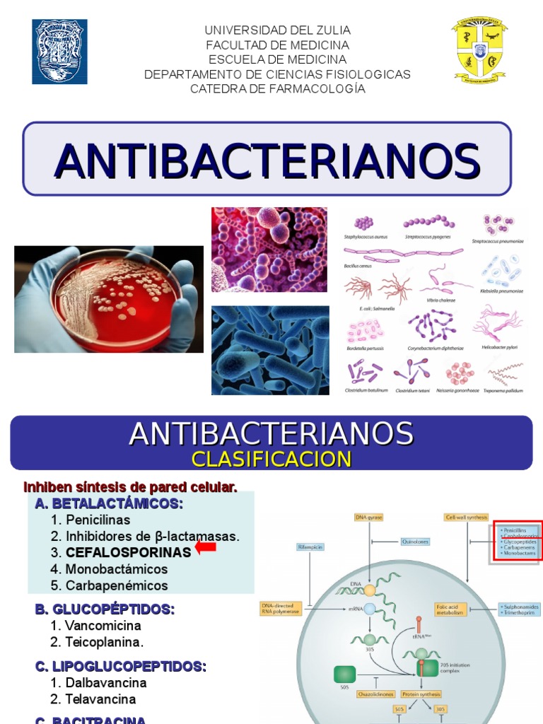 Telavancina y su clasificación antibacteriana | PDF | Penicilina ...