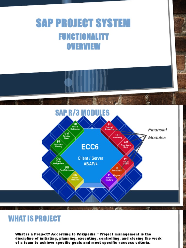 SAP Project System | PDF | Invoice | Business
