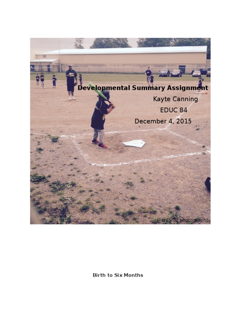 Developmental Summary Assignment 3 | PDF | Child Development | Relationships