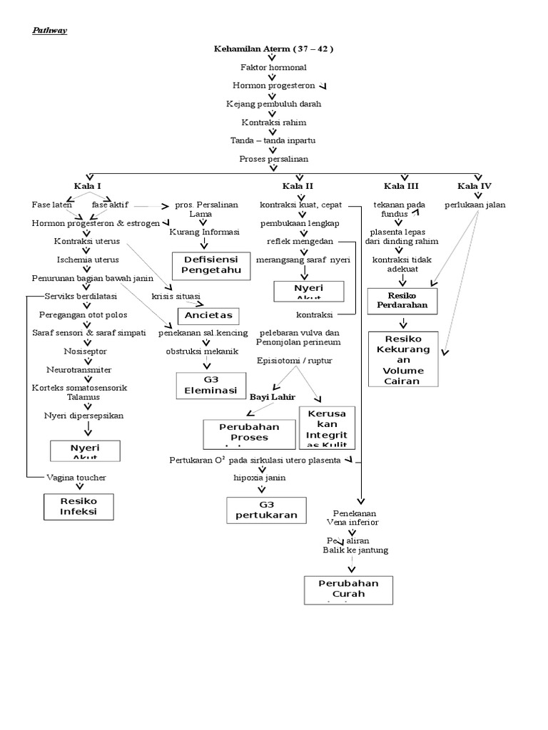 Pathway Partus Normal | PDF