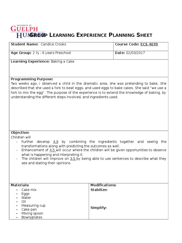 Group Learning Experience Planning Sheet-3 | PDF