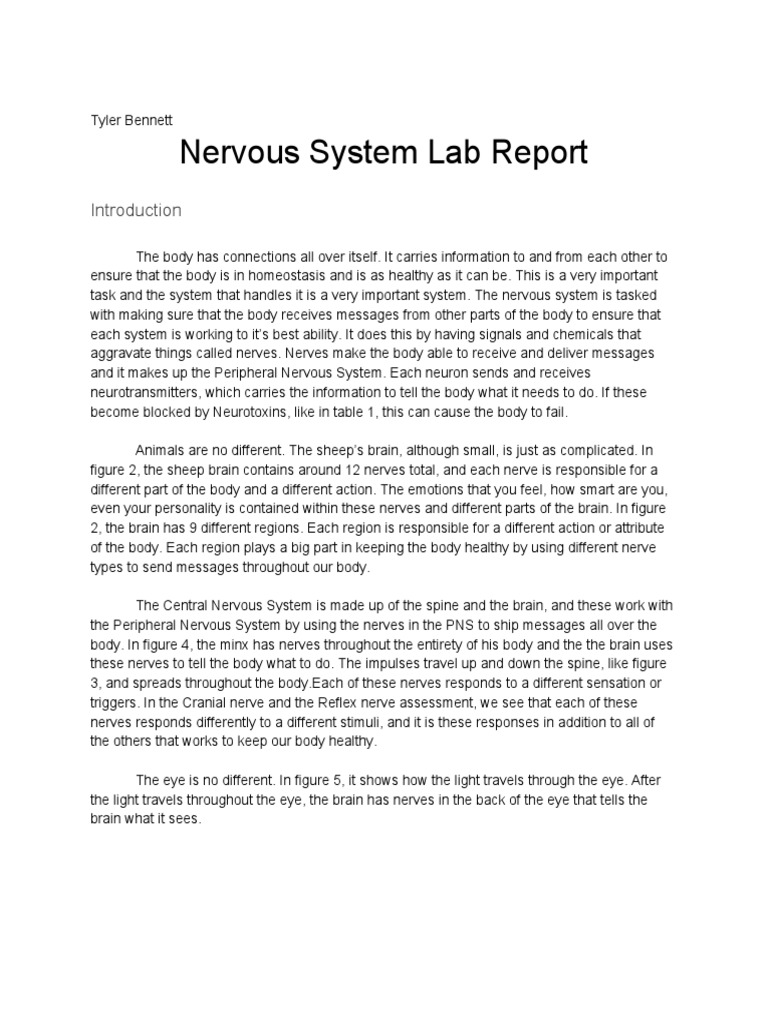 Nervous System Lab Report | PDF | Nervous System | Neurobiology