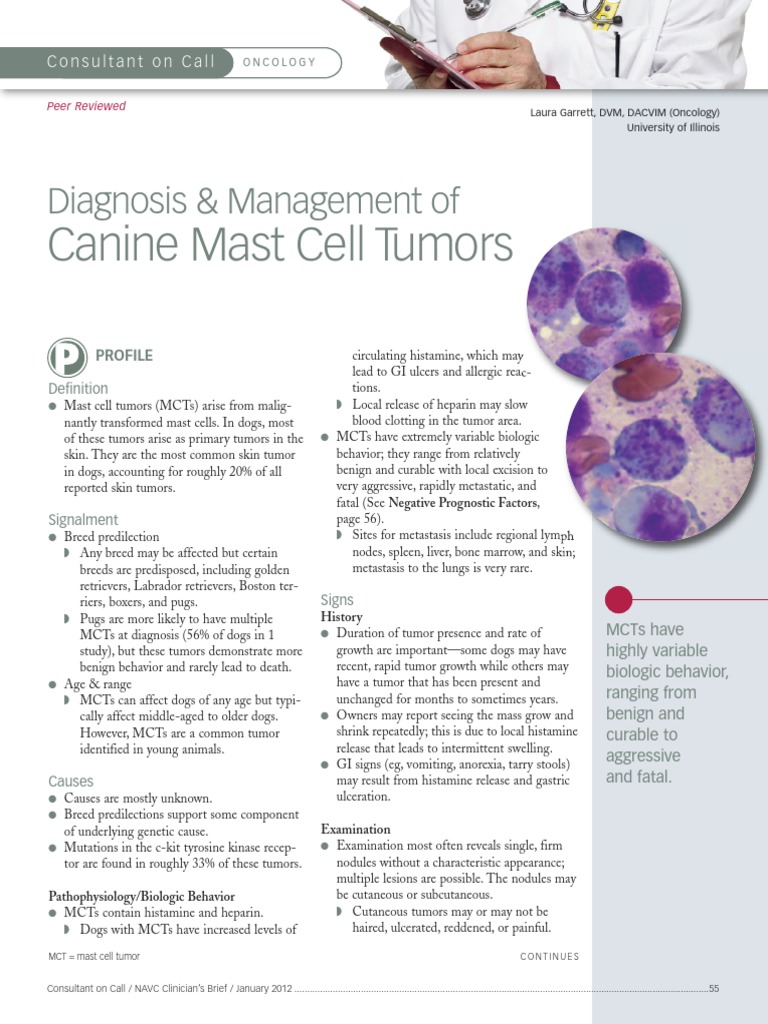 Canine Mast Cell Tumors | Metastasis | Chemotherapy