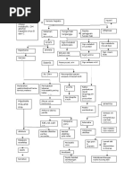 Pathway Anemia | PDF