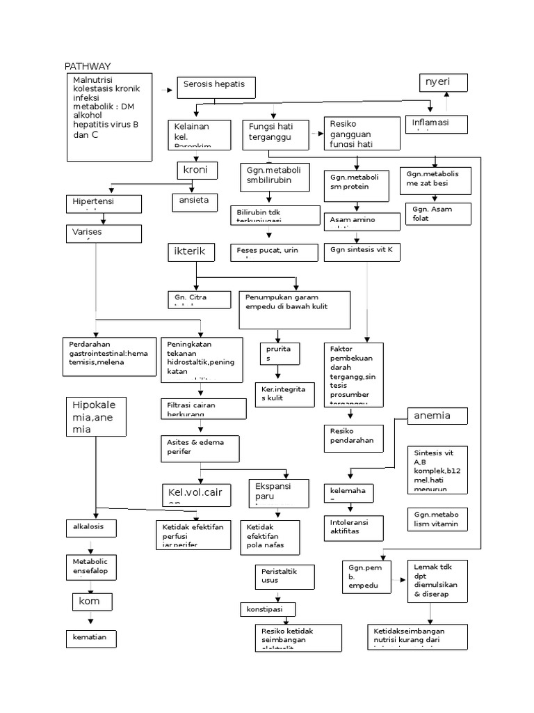 Risiko Gangguan Fungsi Hati | PDF
