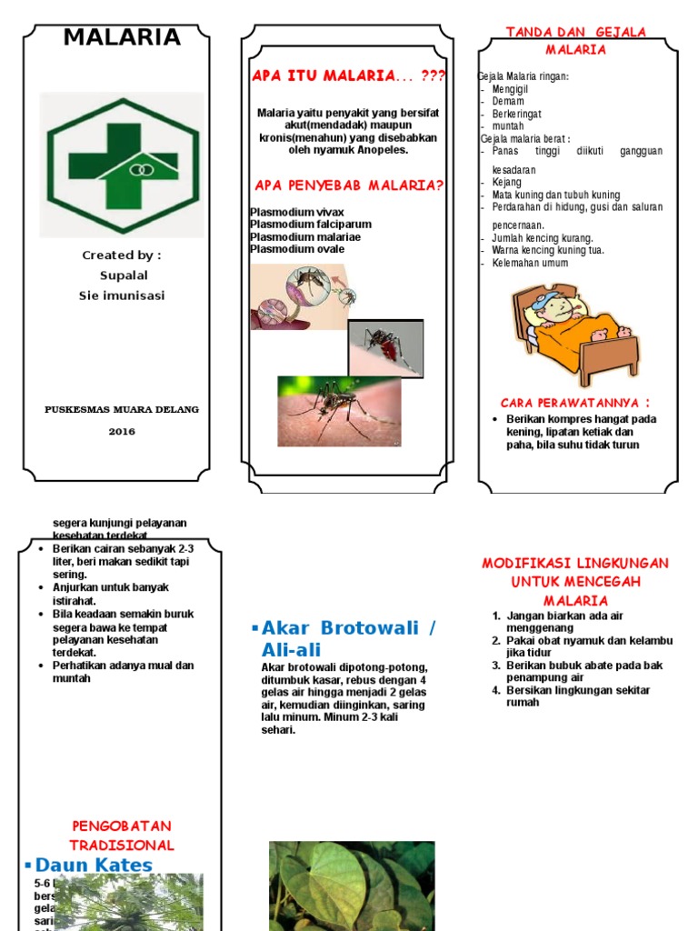 Leaflet Malaria | PDF