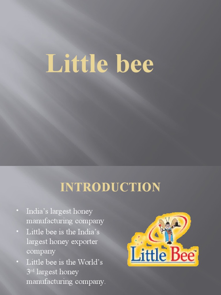 Little Bee | PDF