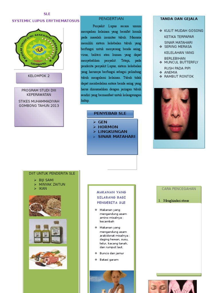 Leaflet SLE | PDF