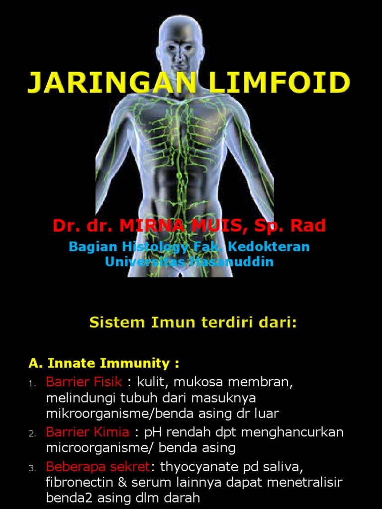 Organ Limfoid | PDF