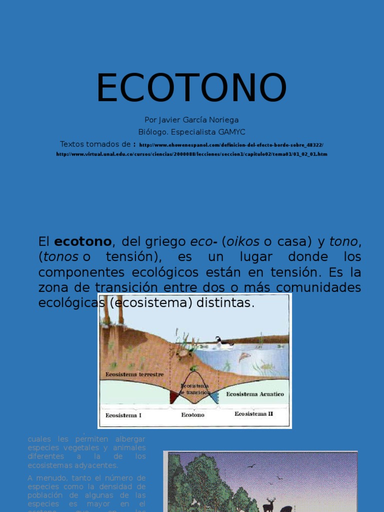 ECOTONO | PDF