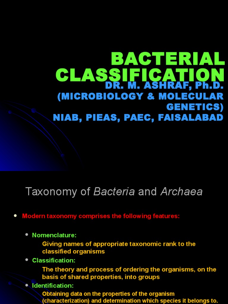 Bacterial Classification | PDF | Gram Negative Bacteria | Bacteria