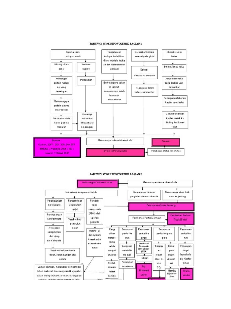 Pathway Syok Hipovolemik | PDF