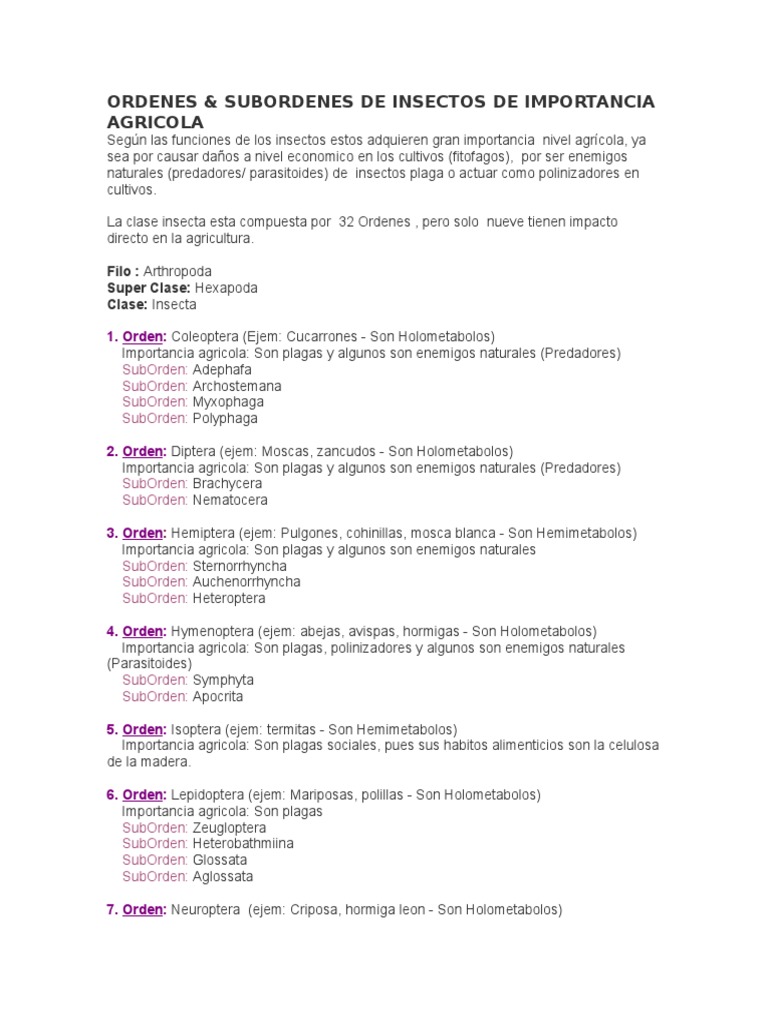 Orden y Sub Orden de Insectos de Importancia Agronomica | PDF