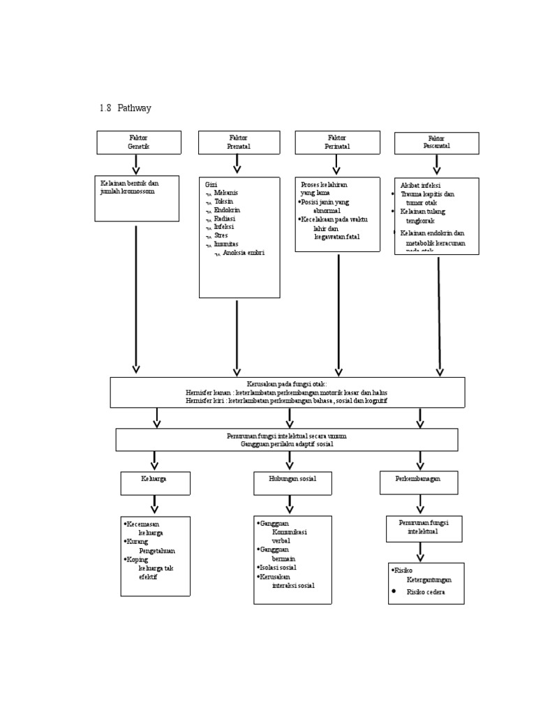 pathway Retardasi mental.docx