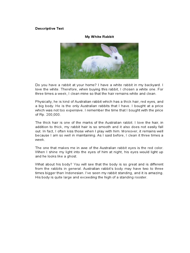 Descriptive Text My White Rabbit | PDF | Garlic | Foods