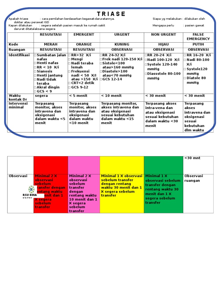 Triase Leaflet 1 | PDF
