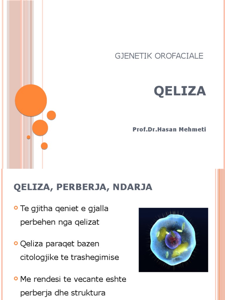 2. qeliza