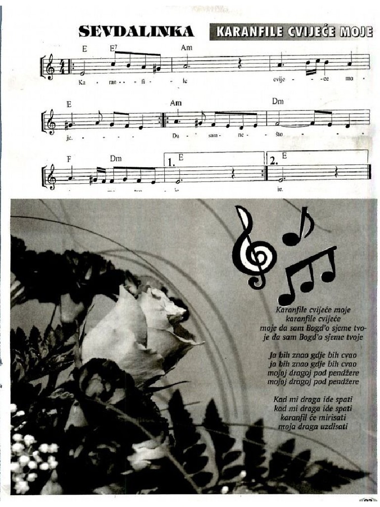 Karanfile Cvijece Moje | PDF