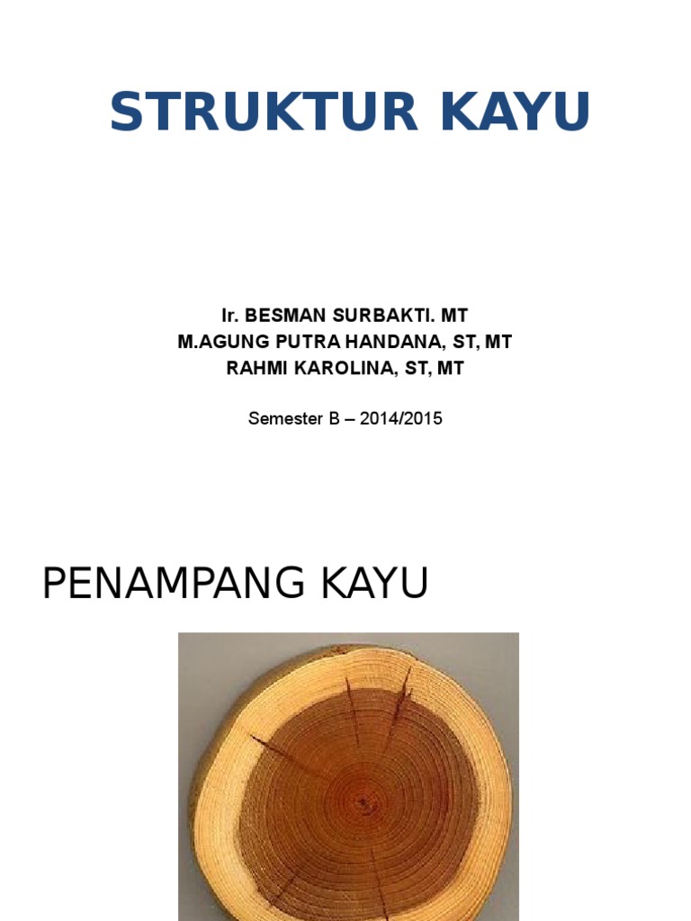 Struktur Kayu | PDF