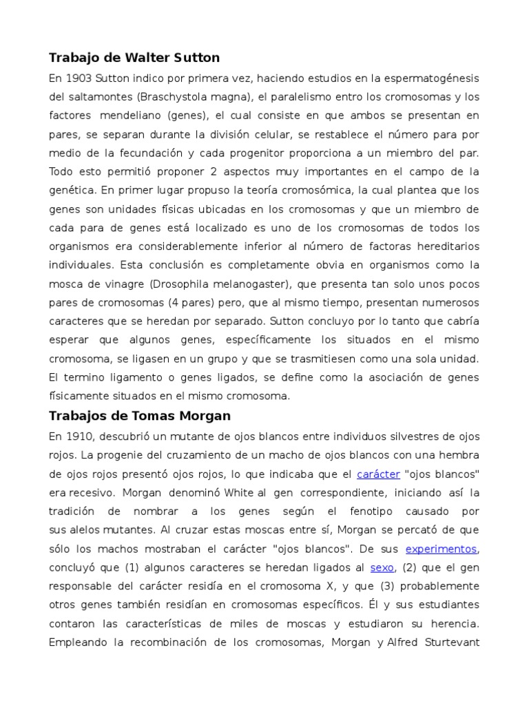 Trabajo de Walter Sutton | PDF | Recombinación genética | Sexo