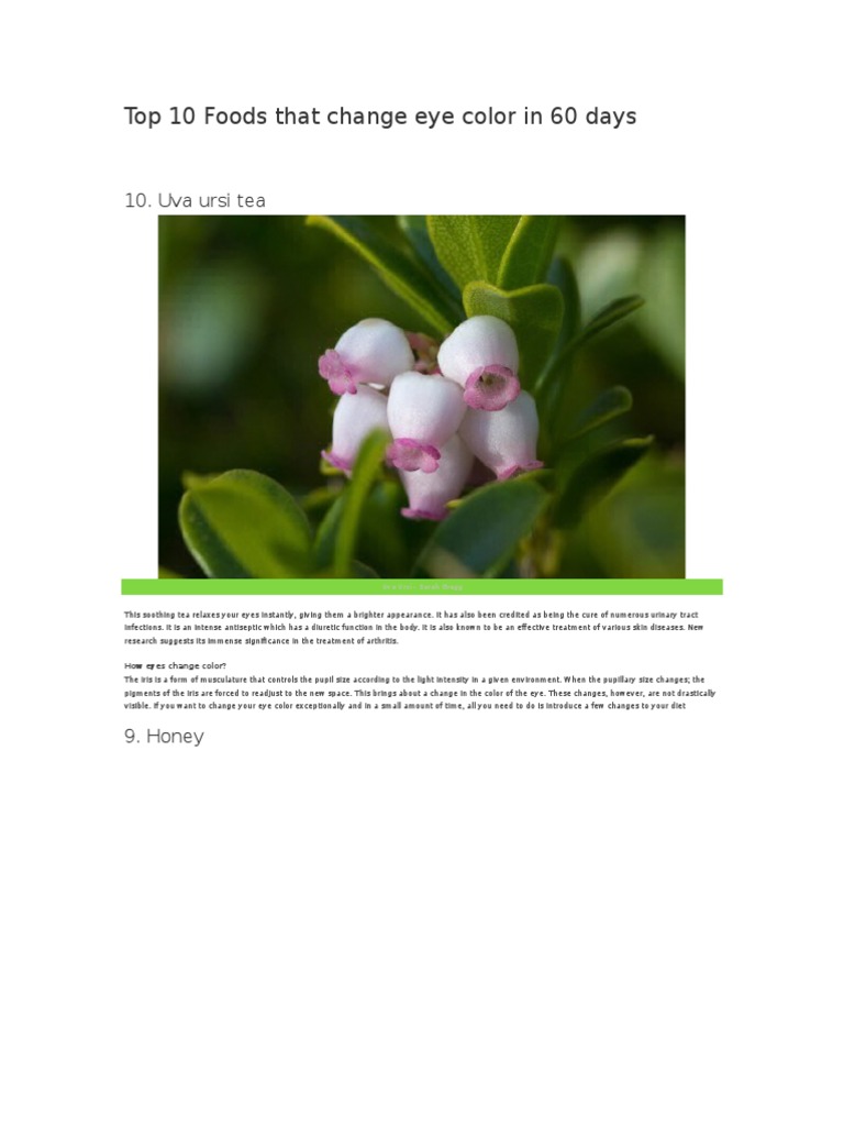 Top 10 Foods That Change Eye Color in 60 Days | PDF | Nut (Fruit) | Meat