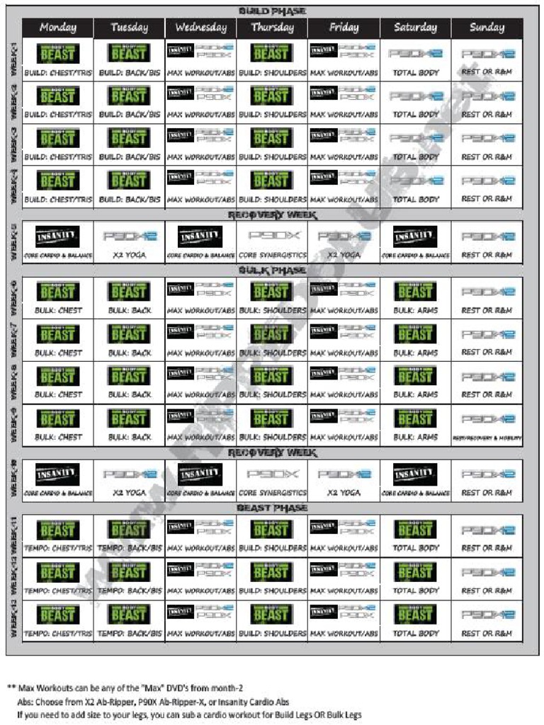 Body Beast, P90x, P90X2 and Insanity Hybrid.pdf