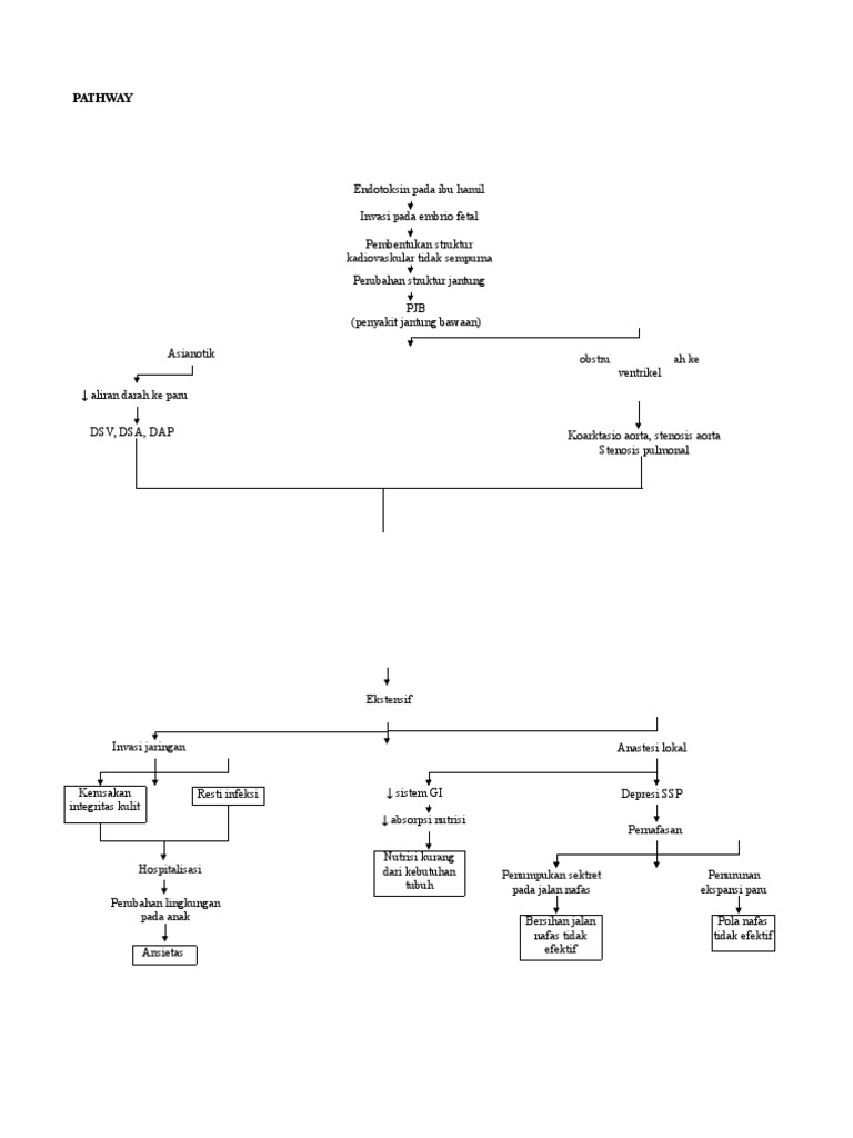 PATHWAY PJB Asianotik | PDF
