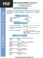 Curriculum Vitae Practicante Senati | PDF