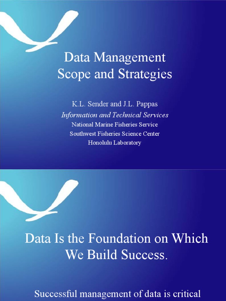 Data Management Scope and Strategies: K.L. Sender and J.L. Pappas | PDF ...