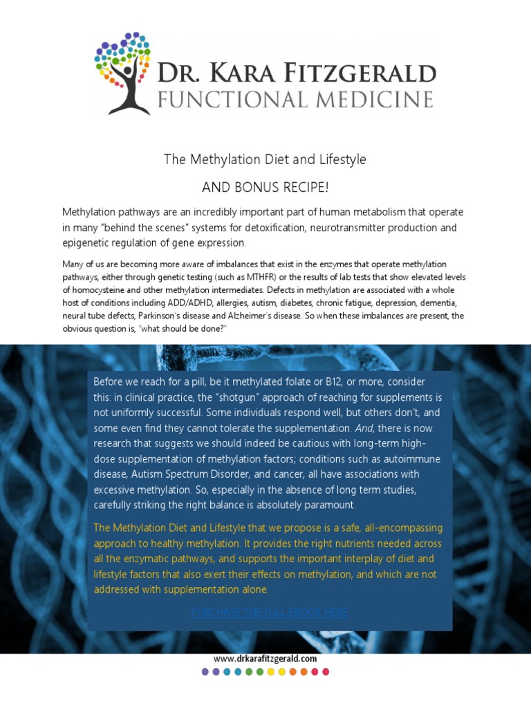 Methylation Diet and Lifestyle Handout (DR Karla Fitzgerald) | PDF ...