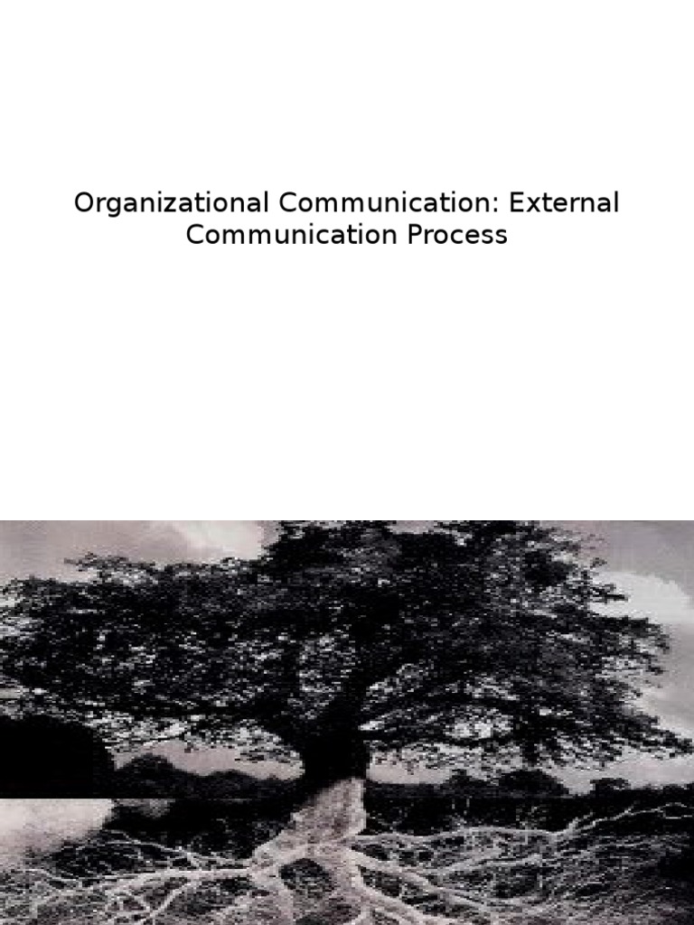 Organizational Communication: External Communication Process | PDF