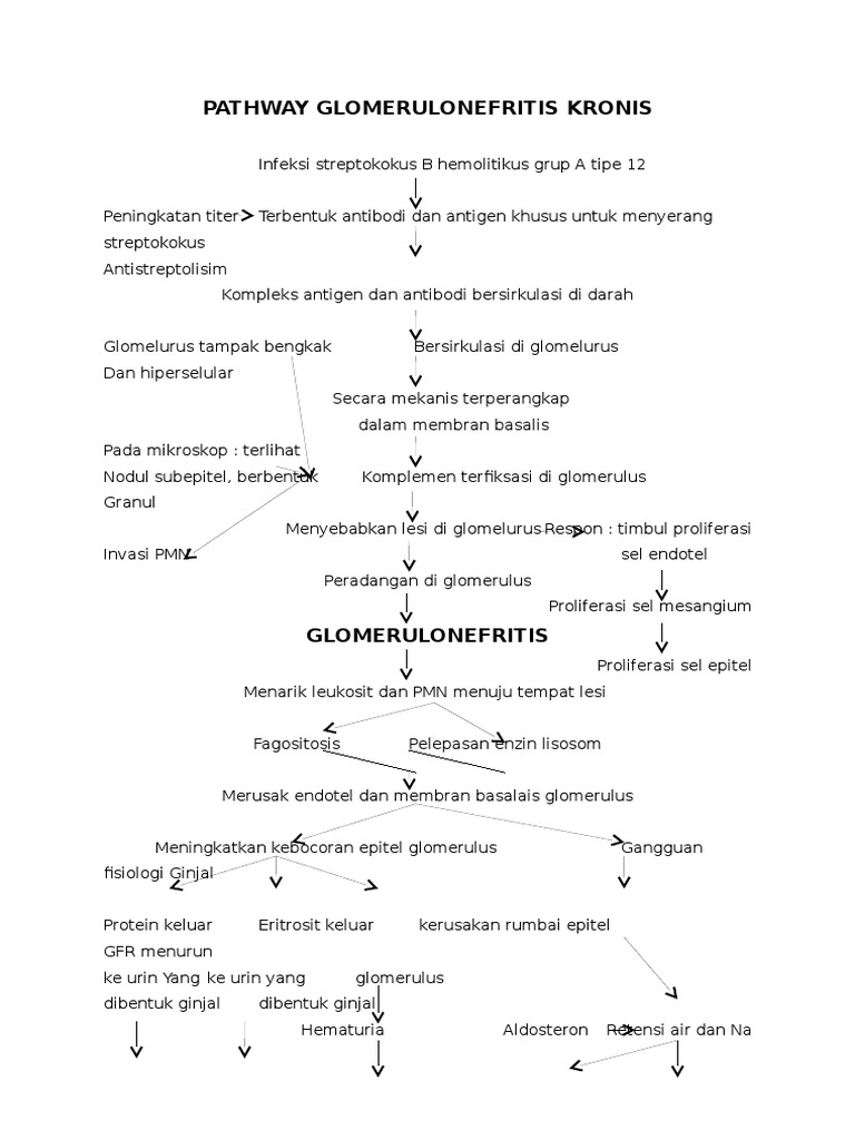 Pathway Glomerulonefritis Kronis