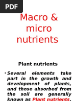 DD2760 2025 | PDF | Felony | Justice