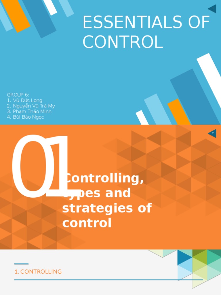 Essentials of Control: Budgeting and Financial Ratios as Key Internal ...