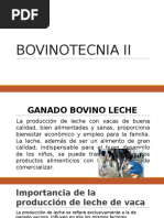 Sistema de Producción de Leche en Granjas Bovinas Familiares | PDF | Vacas | Leche