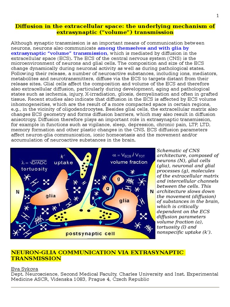 Diffusion in The Extracellular Space - Mechanism of Extrasynaptic ...