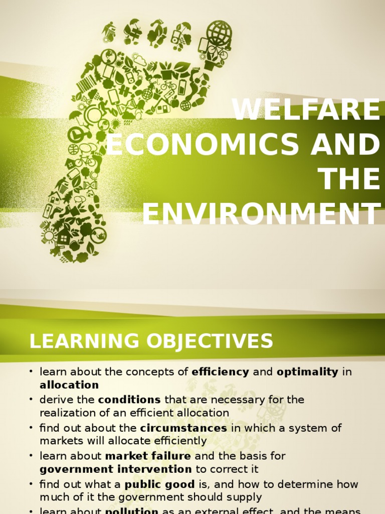 Welfare Economics and the Environment | Welfare Economics | Pareto ...