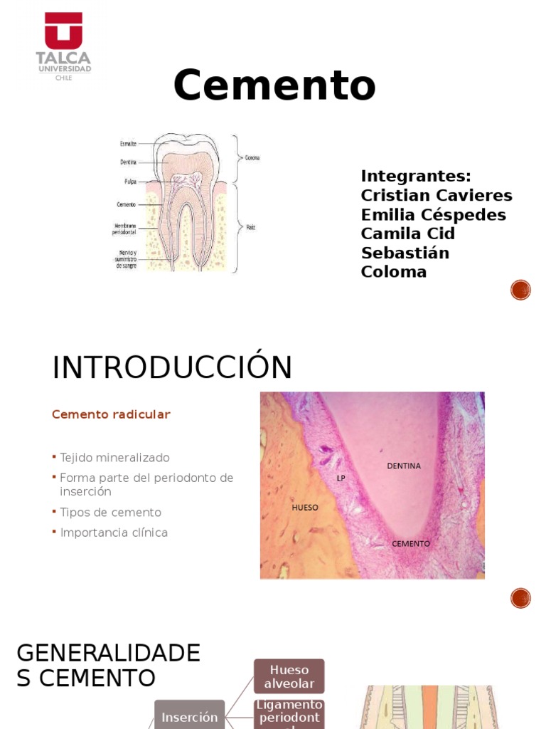 Aac Cemento Ok | PDF | Dentina | Diente