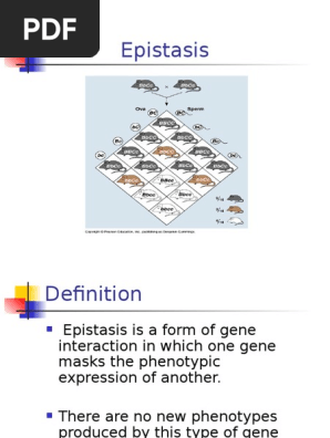 Epistasis Definition