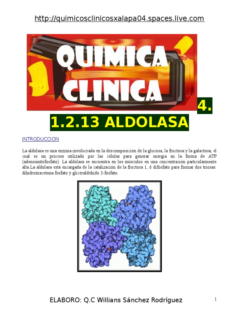 Aldolasa: Función y Significado Clínico | PDF | Enzima | Músculo