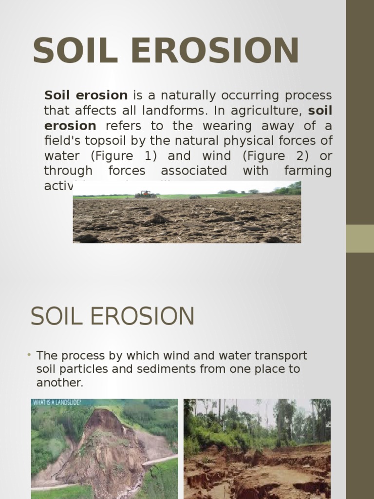 Soil Erosion | PDF | Erosion | Plough